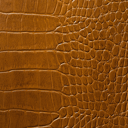 Chocolate Crocodile | EcoDomo