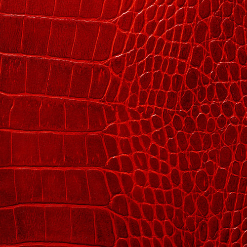 Fire Crocodile | EcoDomo