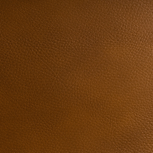 Chocolate Walrus | EcoDomo