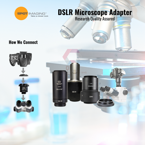 SPOT DSLR Microscope Adapters | Qube Scientific