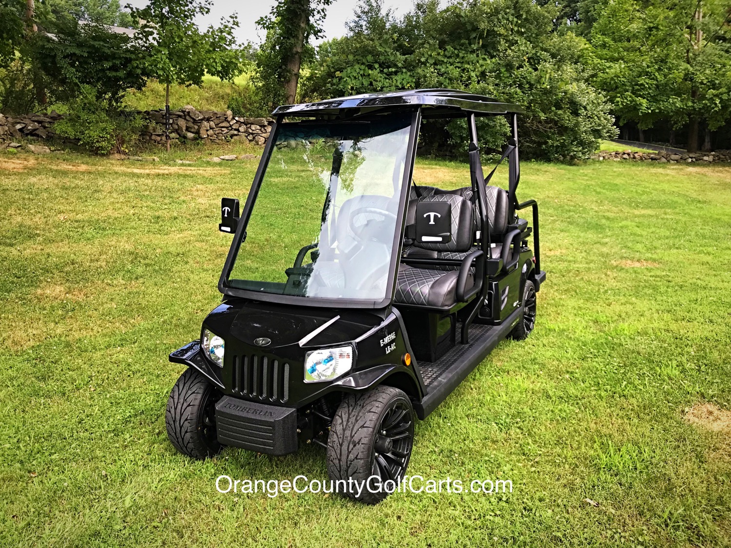 MULTI PASSENGER GOLF CART