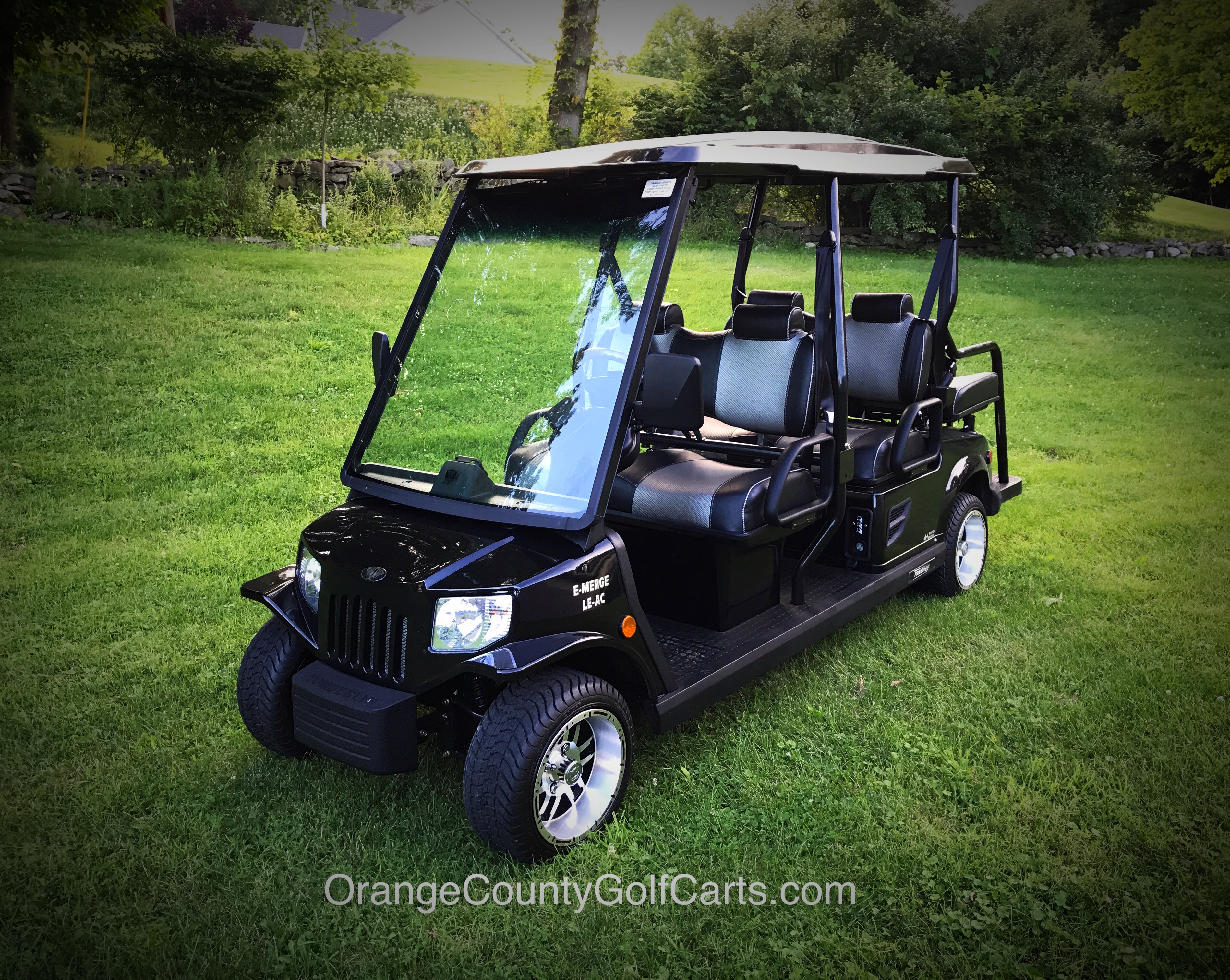 MULTI PASSENGER GOLF CART
