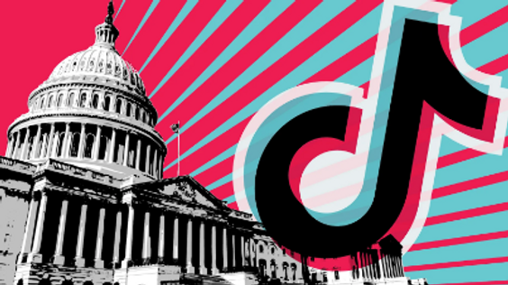 How TikTok is reshaping political activism