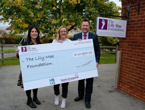 ARTICLES | Lily Mae Foundation