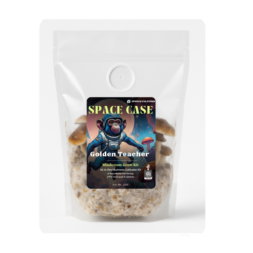 Golden Teacher | Funguscultures