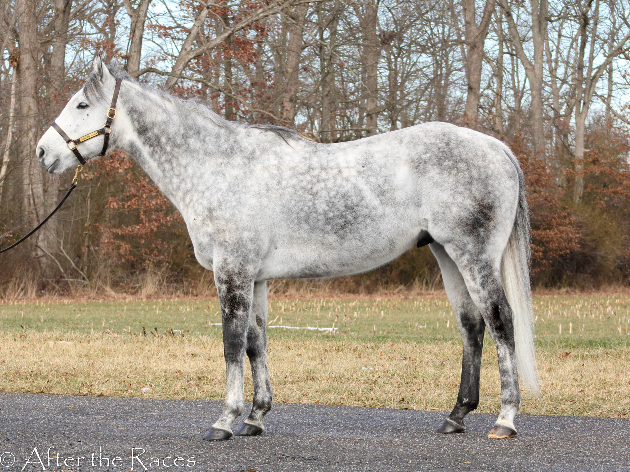 PENDING - Get Them Digits