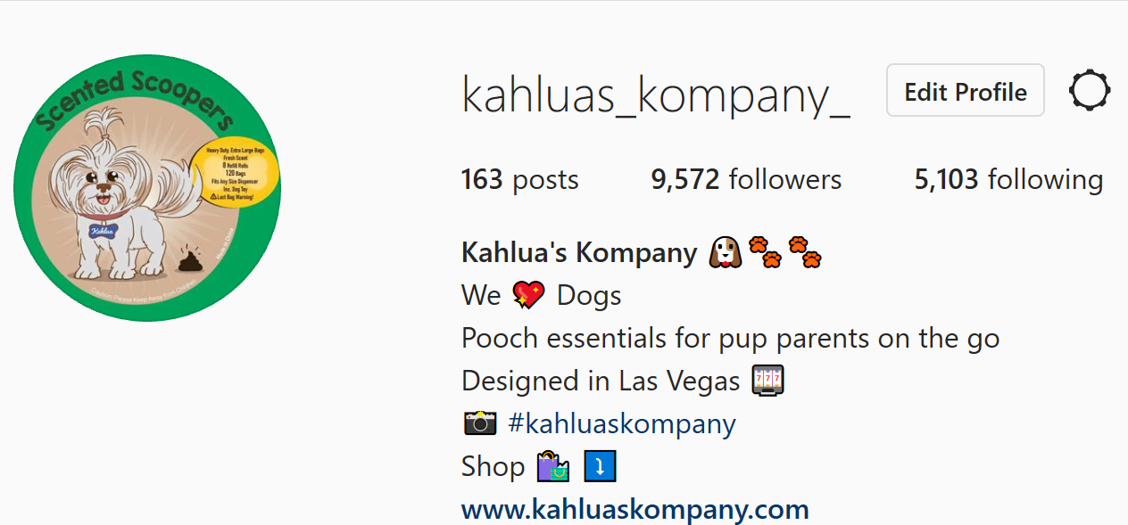 6 Tips to Creating a Successful Instagram Account for your Dog