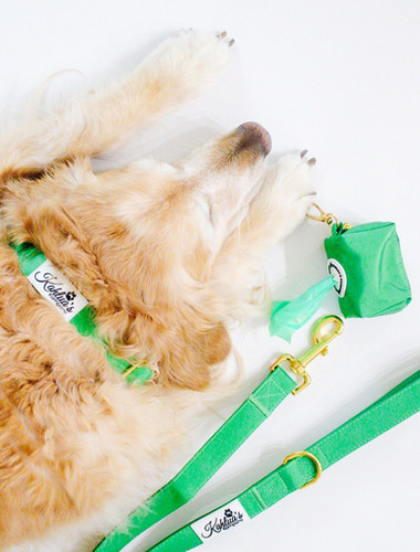 Emerald Isle Dog Leash and Collar Set Collection | Kahlua's Kompany