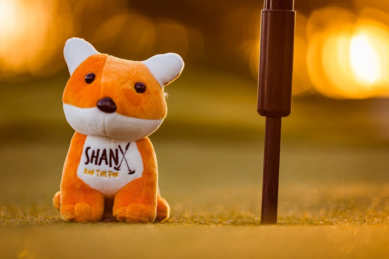 Junior Presentations Summer 2023/2024 | Modbury Hawks