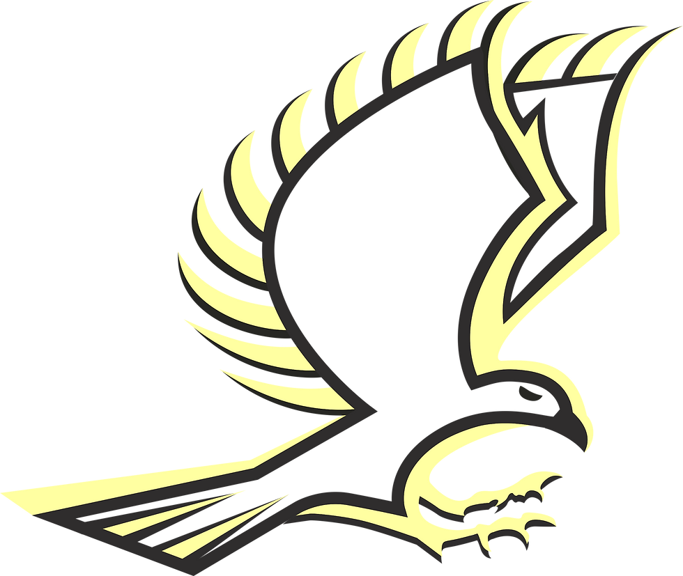 Sport | Modbury Hawks Netball Club Inc