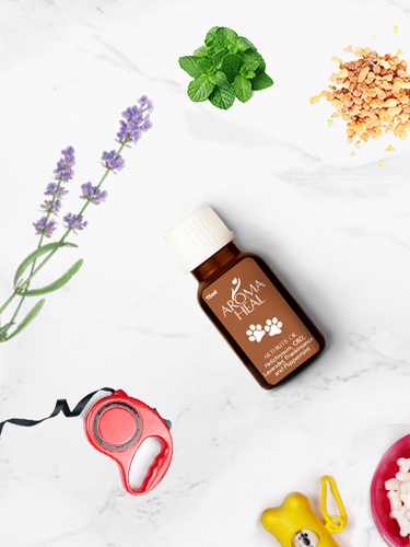 Arthritis Oil | Aroma