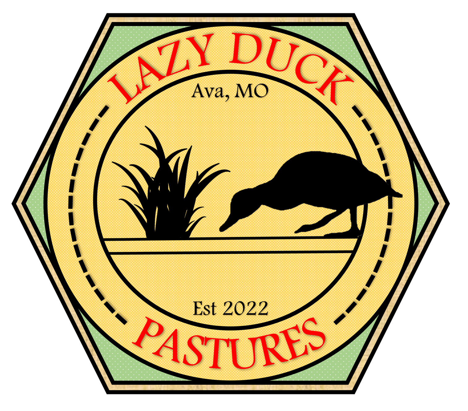 Pastured Poultry | Lazy Duck Pastures | Ava