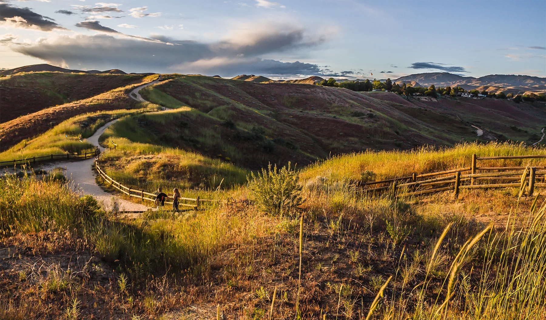 CONTACT | TMN Events