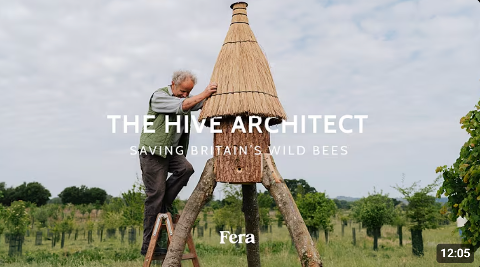 The Hive Architect