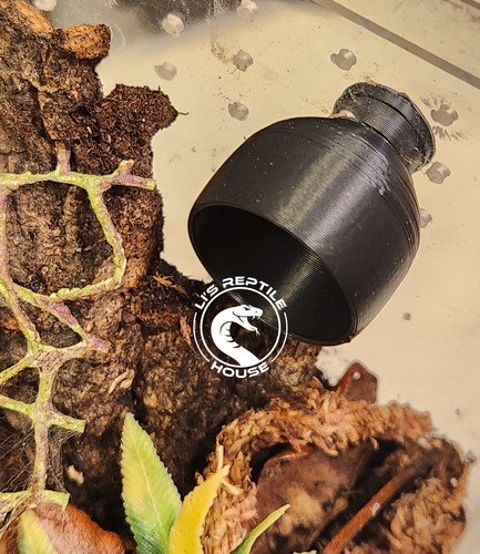 Jumping Spider House/Hide | Li S Reptile House