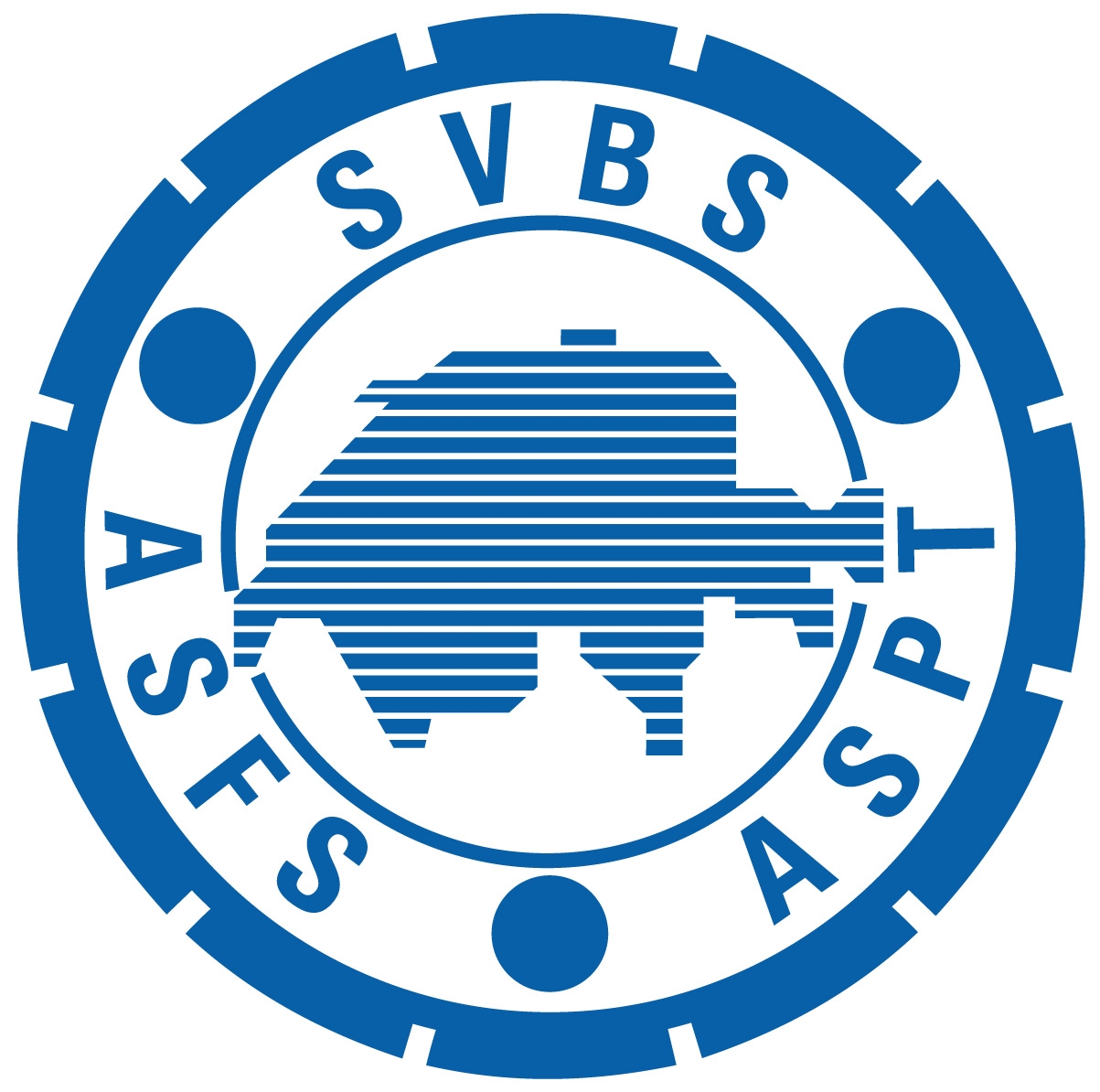 SVBS I Aktuelles