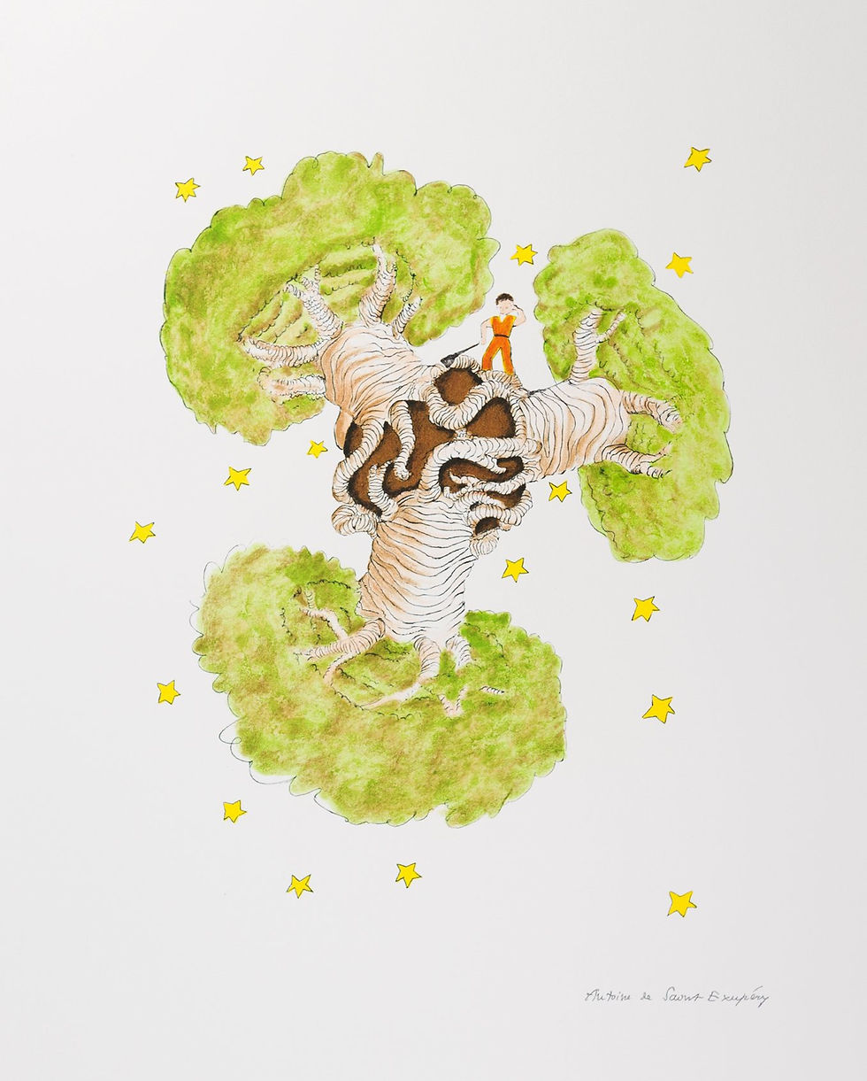 Saint-Exupéry - The Little Prince And The Baobabs