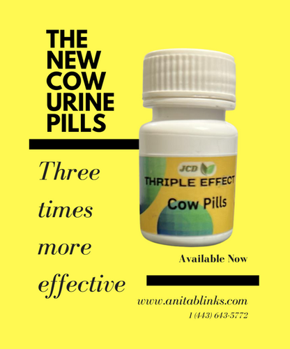 The New Cow Urine Pills | ANITABLINKS