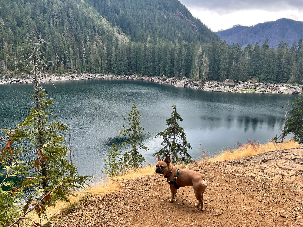 Laboring Lower Lena Lake