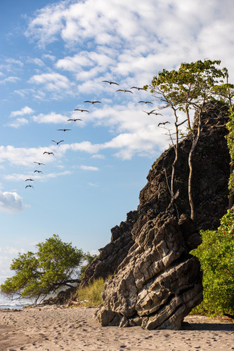 PREHISTORICO | Sofia Holmberg