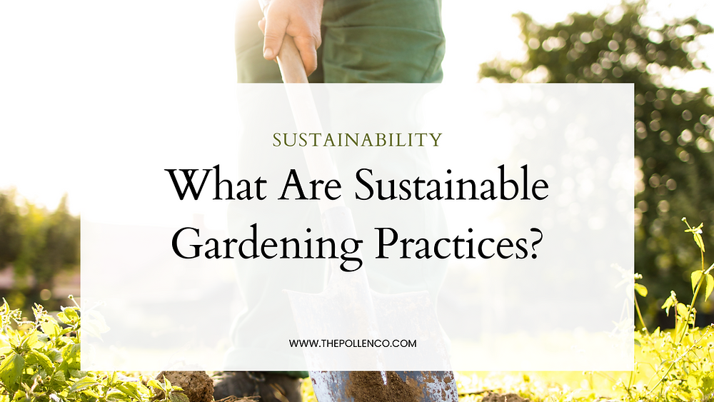 What Are Sustainable Gardening Practices? A Practical Guide to Greener ...