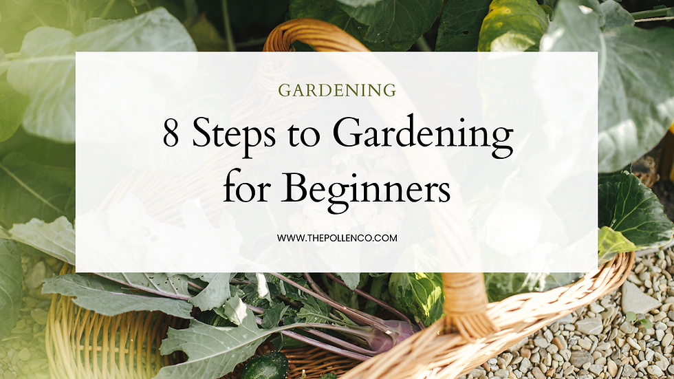 How to Start a Garden – 8 Steps to Gardening for Beginners