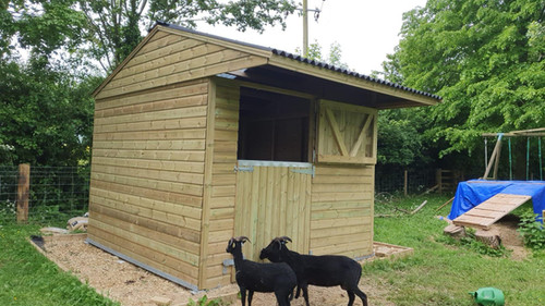 10ft x 10ft Single Stable Static or Mobile 25mm Cladding | Timber Stables