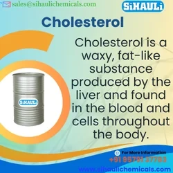 Cholesterol Powder | Sihauli Chemicals
