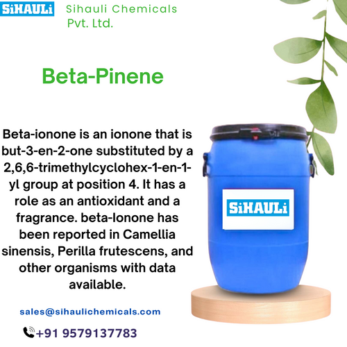 Beta Pinene | Sihauli Chemicals