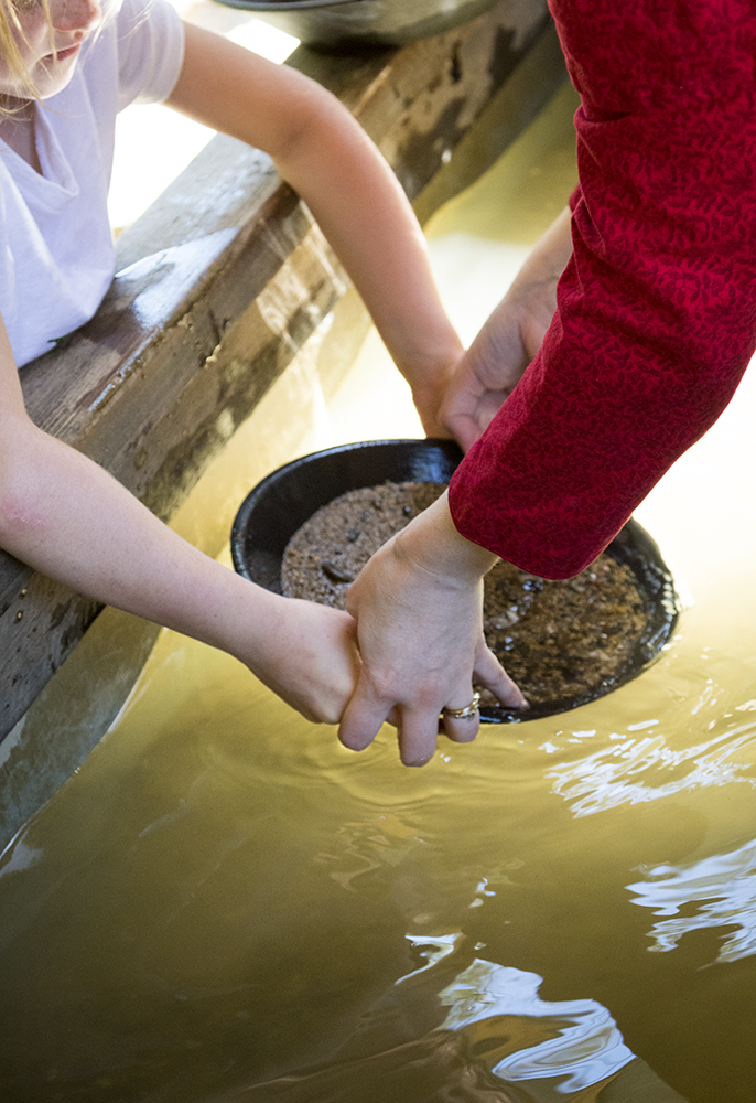 Coloma Gold Rush Live