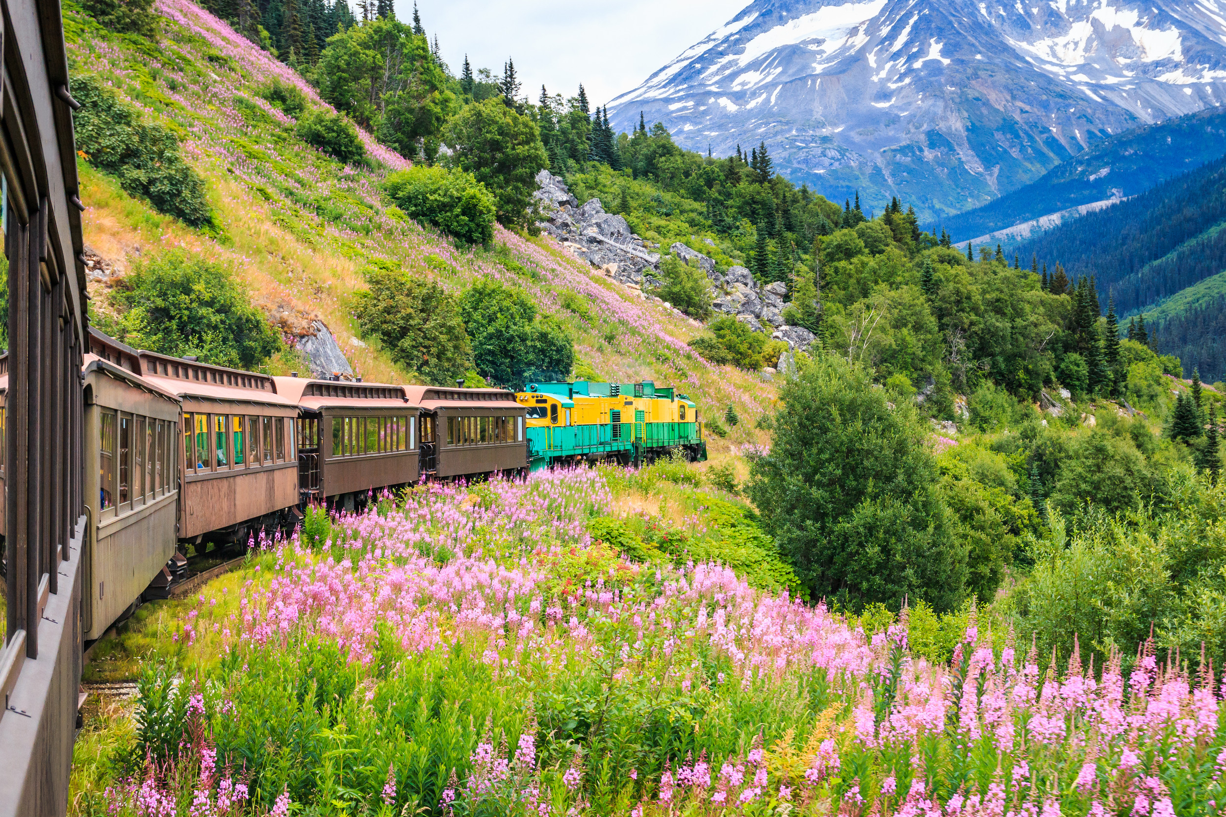 Unveiling Alaska's Raw Beauty: A Nature Lover's Dream
