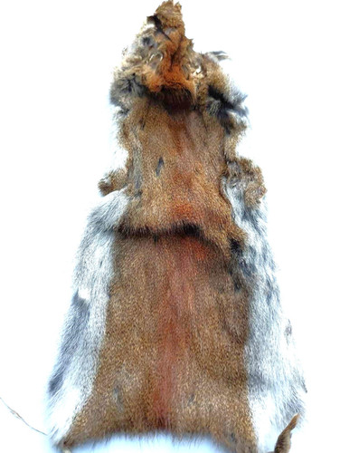 Pine squirrel skins | Celtic Blob Company fully tanned