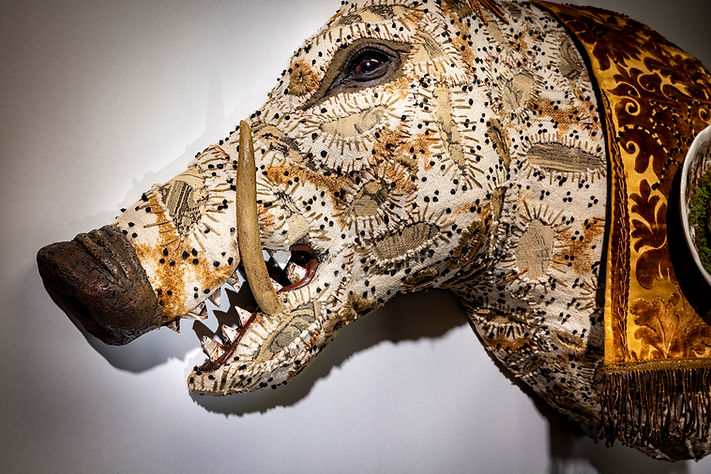 Animal Narratives | kirstenstinglestudio