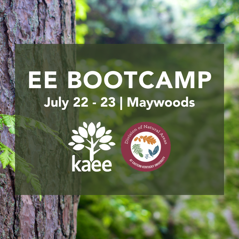 EE Bootcamp 2024 | KAEE