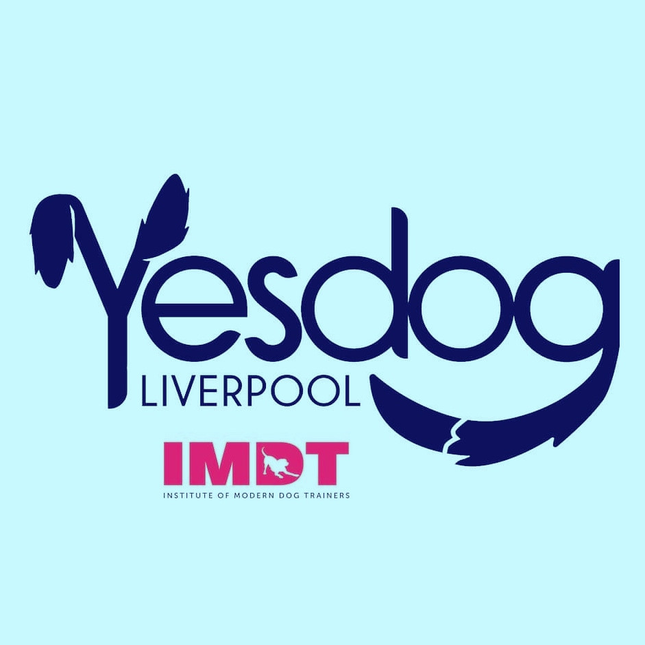 Yesdog Liverpool