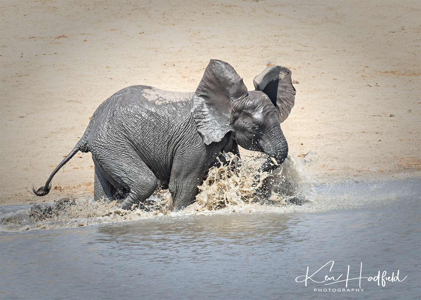 Home | Ken Hadfield ARPS