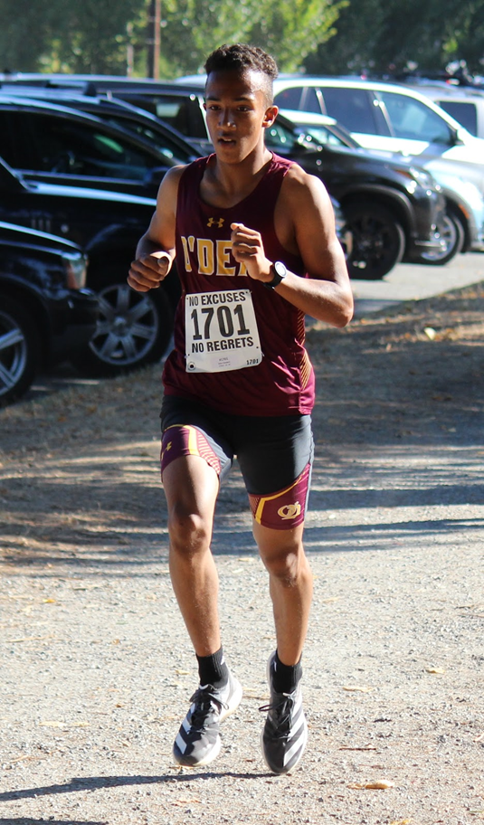 Sanders' rise to stardom