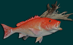 HOME | Fish Replicas