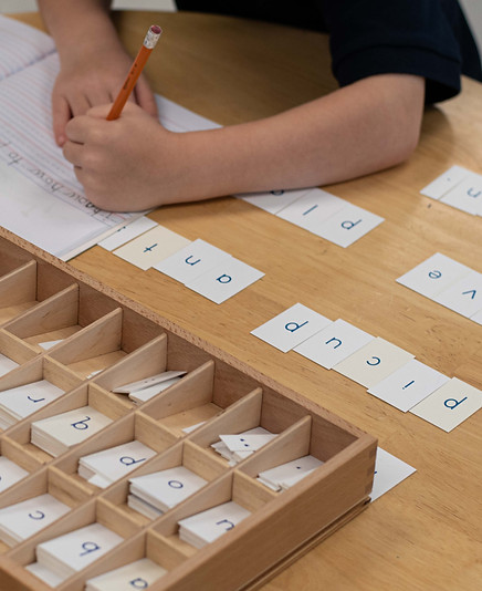 Micro Schooling Made Easy | The School House Anywhere