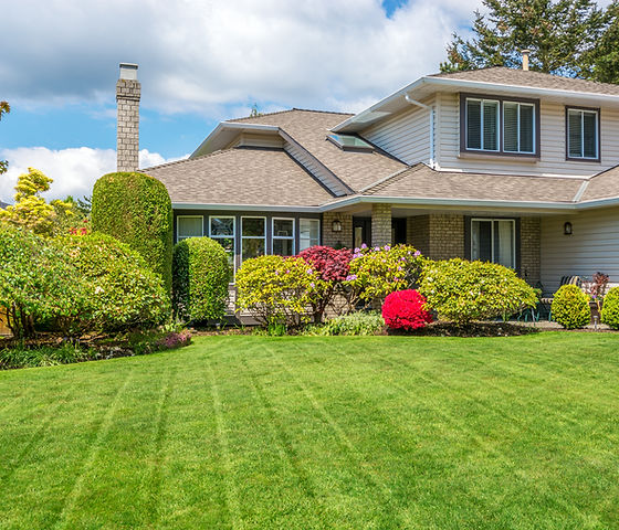 how to make your grass green again