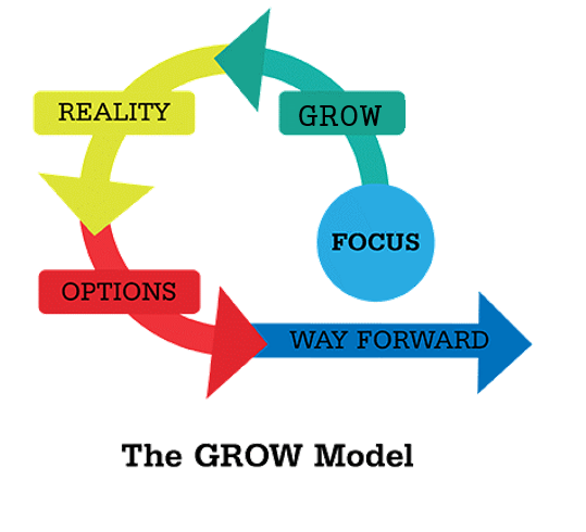 Applying The GROW Model for Mentoring