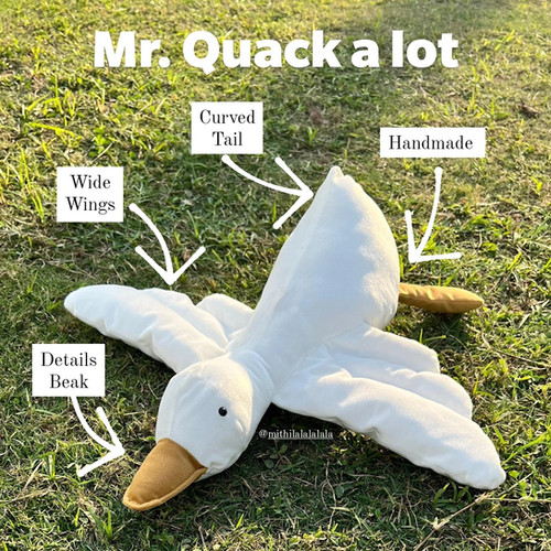 Mr. Quack A Lot aka Duck Plushie | Mithilalalalala