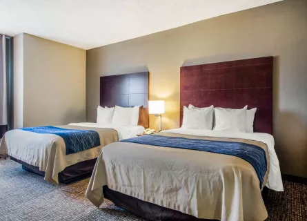 Comfort Inn Hotel Atlanta Downtown | Hotels near downtown Atlanta Georgia