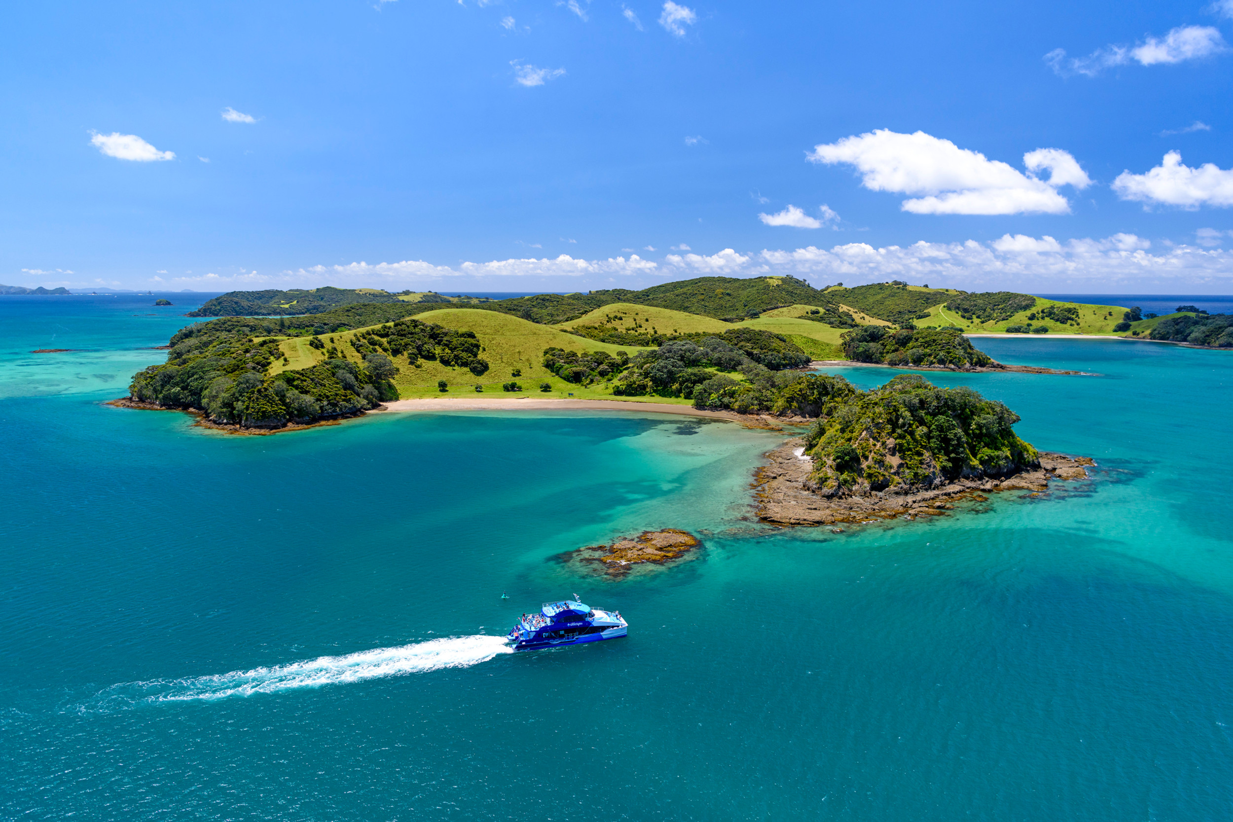 Bay of Islands Private Tour & Cruise from Auckland | ExperienceKart