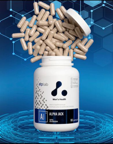 Alpha Jack | Sarmcenter Labs