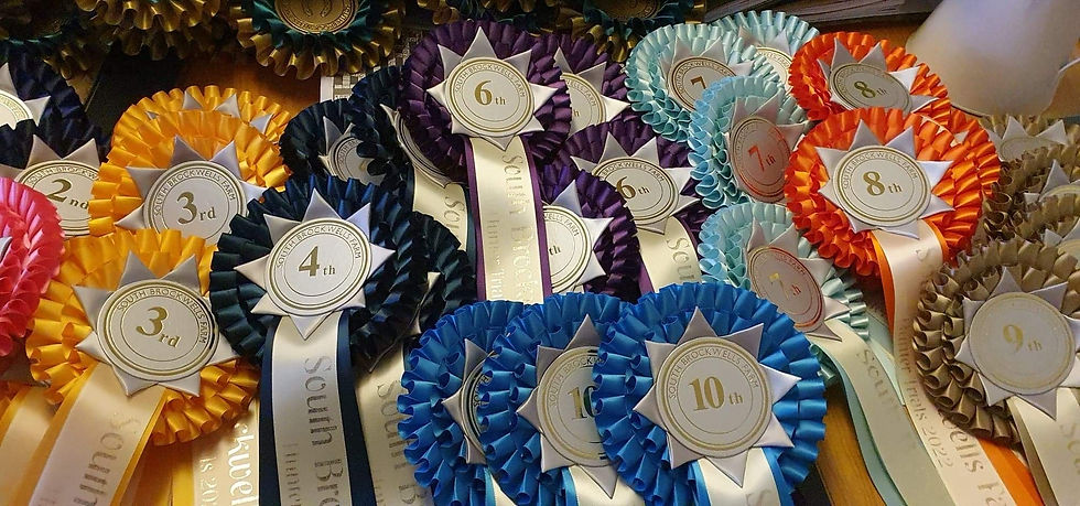 Rosettes | The Rosette Box