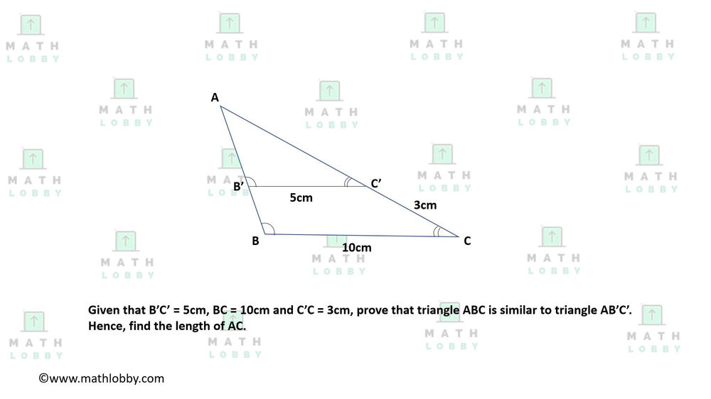 Math Lobby Secondary Math Notes- Similar Triangles Questions