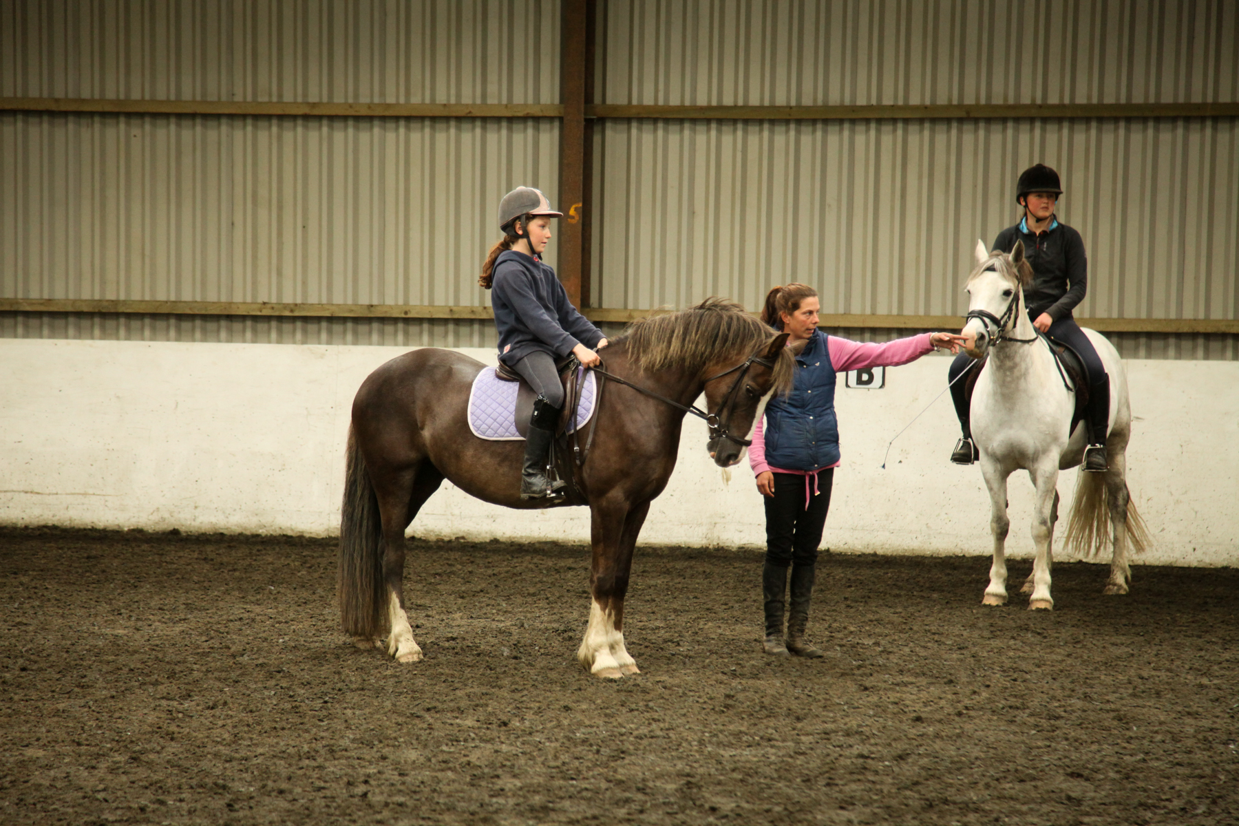 Home | iw-riding-club