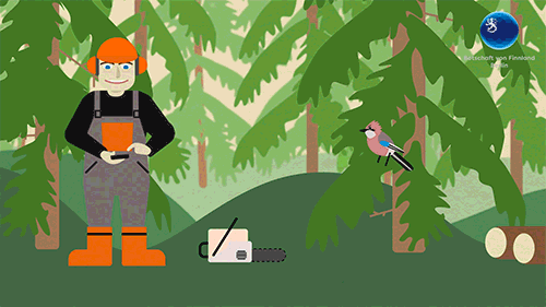 SAANA INARI | Video Artist