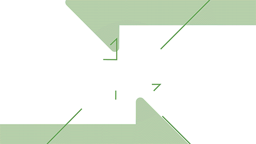 SAANA INARI | Video Artist